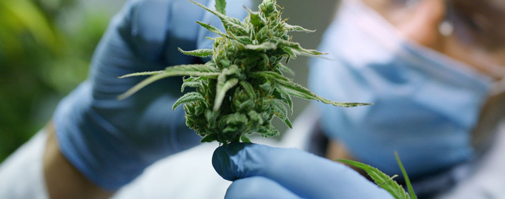 Waste Disposal in California | Clean Management Environmental Group